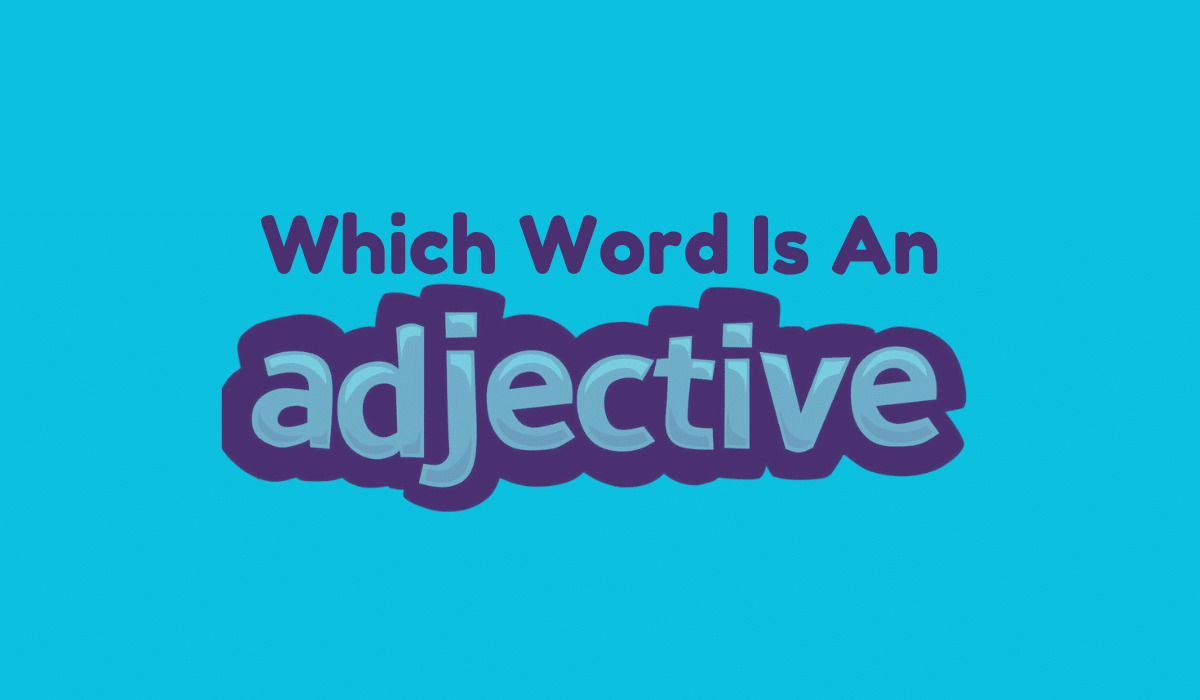 Adjective Basics: Discovering Which Word Is An Adjective? - Writing Hood